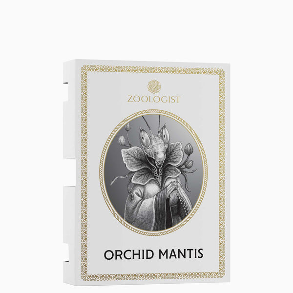 Zoologist Orchid Mantis Sample - Zoologist Canada